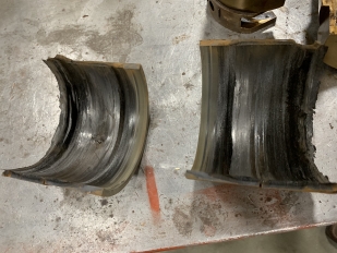 Common Reasons Why Oil/Grease Lubricated Bearings and Plastics Fail
